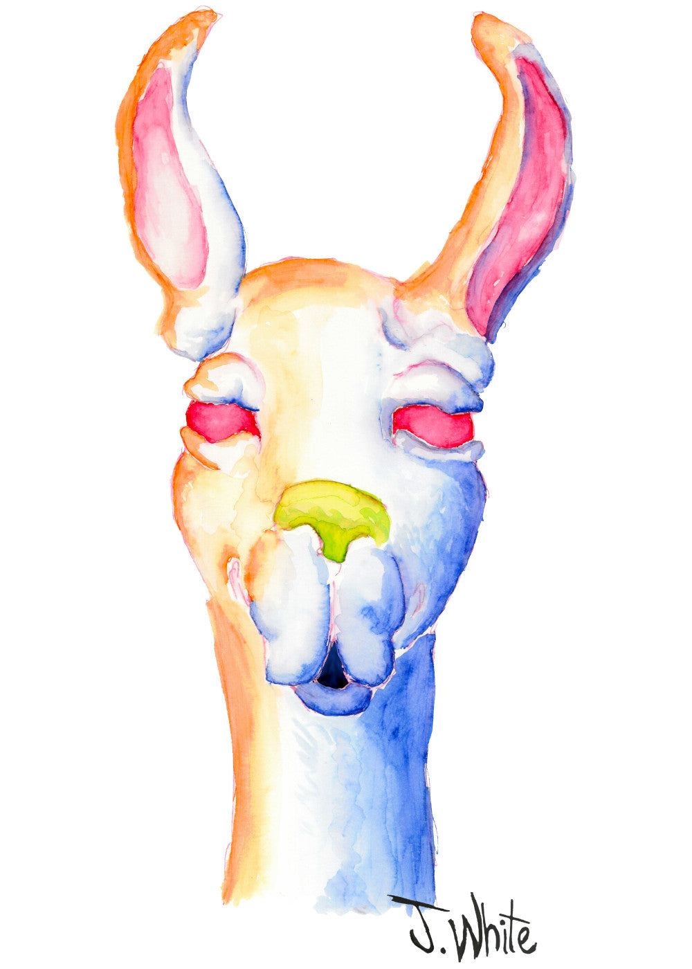 Llamma – Flying W Merch